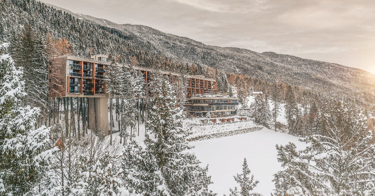 My Arbor: le luxe suspendu entre ciel et forêt | Forbes Belgique